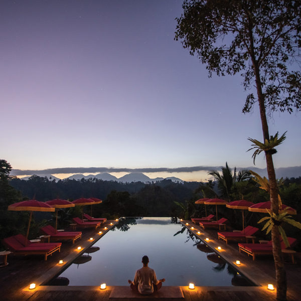 Rainforest Pool Bale 1_web - Exquisite Taste