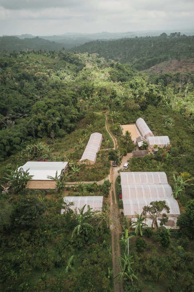 The Journey of Tanamera Coffee: Elevating Indonesia’s Specialty Coffee ...